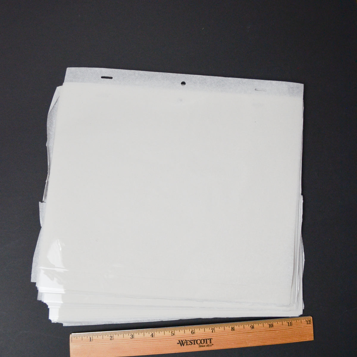 Acme Punched Animation Cels – Make & Mend