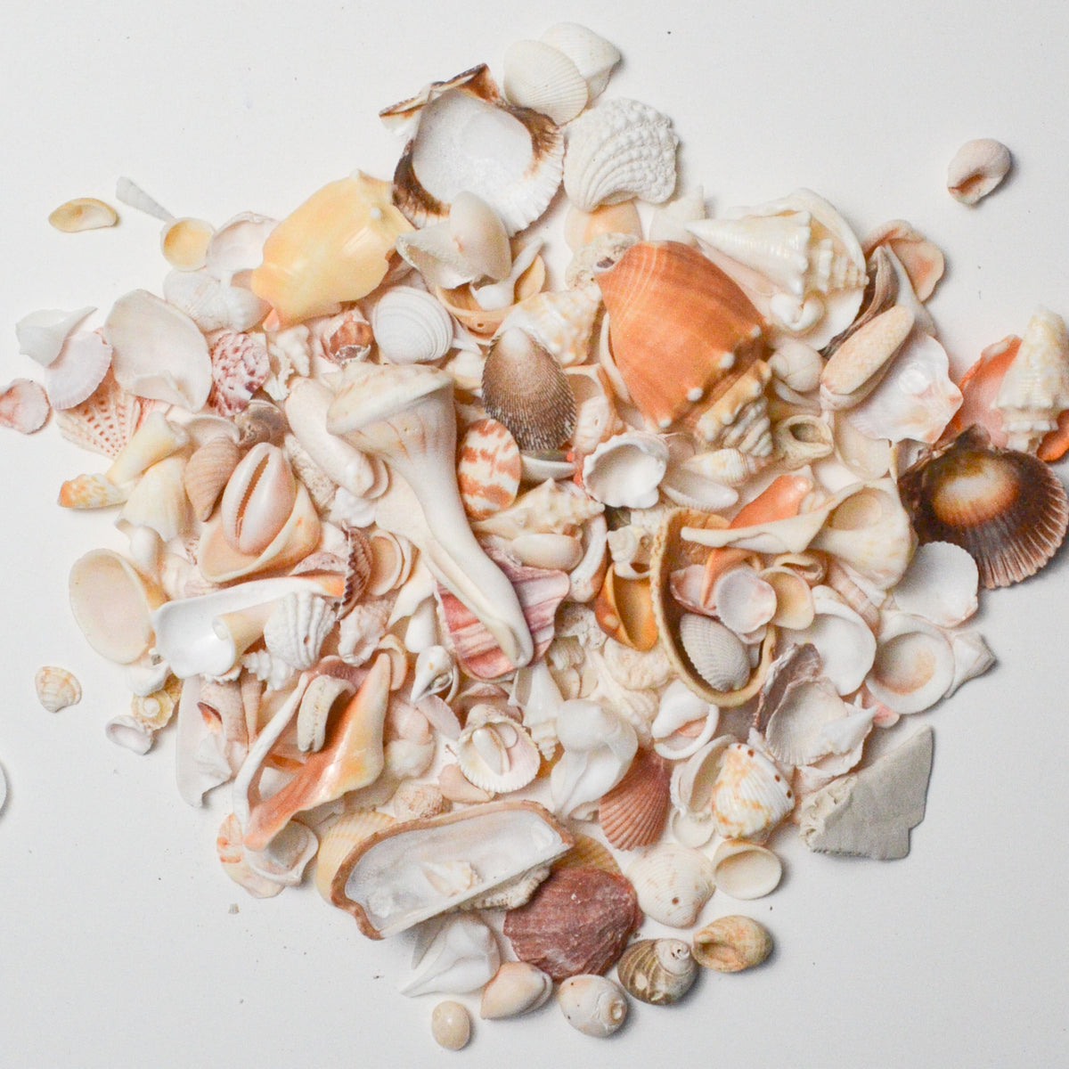Bag of Shells – Make & Mend