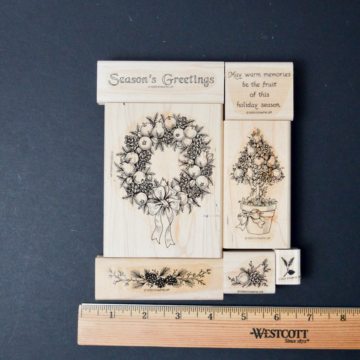 Stampin' Up! Fruit of the Season Rubber Stamp Set – Make & Mend